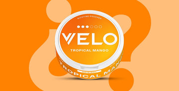 VELO's Nicotine Flavour Guide | 10 Motives Blog